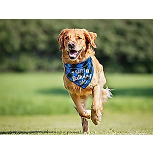Ptzizi Funny Blue Plaid Happy Birthday Dad Dog Printed Triangle Bandana, Small Medium Large Boy Pet Dog Birthday Party Scarf Bib Accessories for Pet Dog Lovers Gift