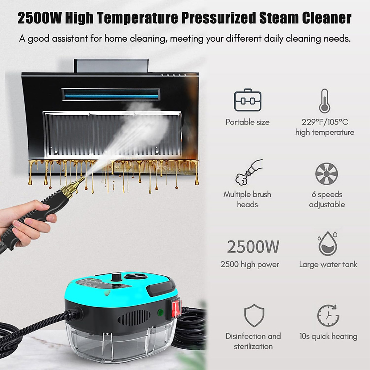 Ailgely 2500W High Temperature Pressurized Steam,Handheld Steam Cleaners for Home Use,Portable Steam Cleaning Machine,10S Fast Heating,with 3 Brush Heads (Blue)