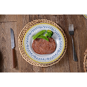 Braque Ceramic Lunch Salad Plates Set of 6, 8 inch Dish Set-Dessert, Appetizer, Pasta, Small Dinner Serving Plate-Microwave, Oven & Dishwasher Safe, Scratch Resistant-Kitchen Porcelain Dish-Olive Vine