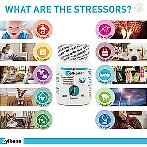 Vetoquinol Zylkene Behavior Support Capsules for Medium Dogs 33-65lbs, Calming All Natural Milk Protein Supplement, Helps Relieve Dog Anxiety During Fireworks and Thunder, 225mg