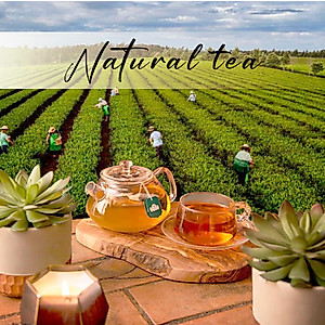 Premiun Tea Sampler Assortment Box (62 Count) 31 Flavors Variety AHMA Assortment Tea Bags Gift for Mom Dad Women Men Friends giftable box - assorted tea bags gifts for tea lovers