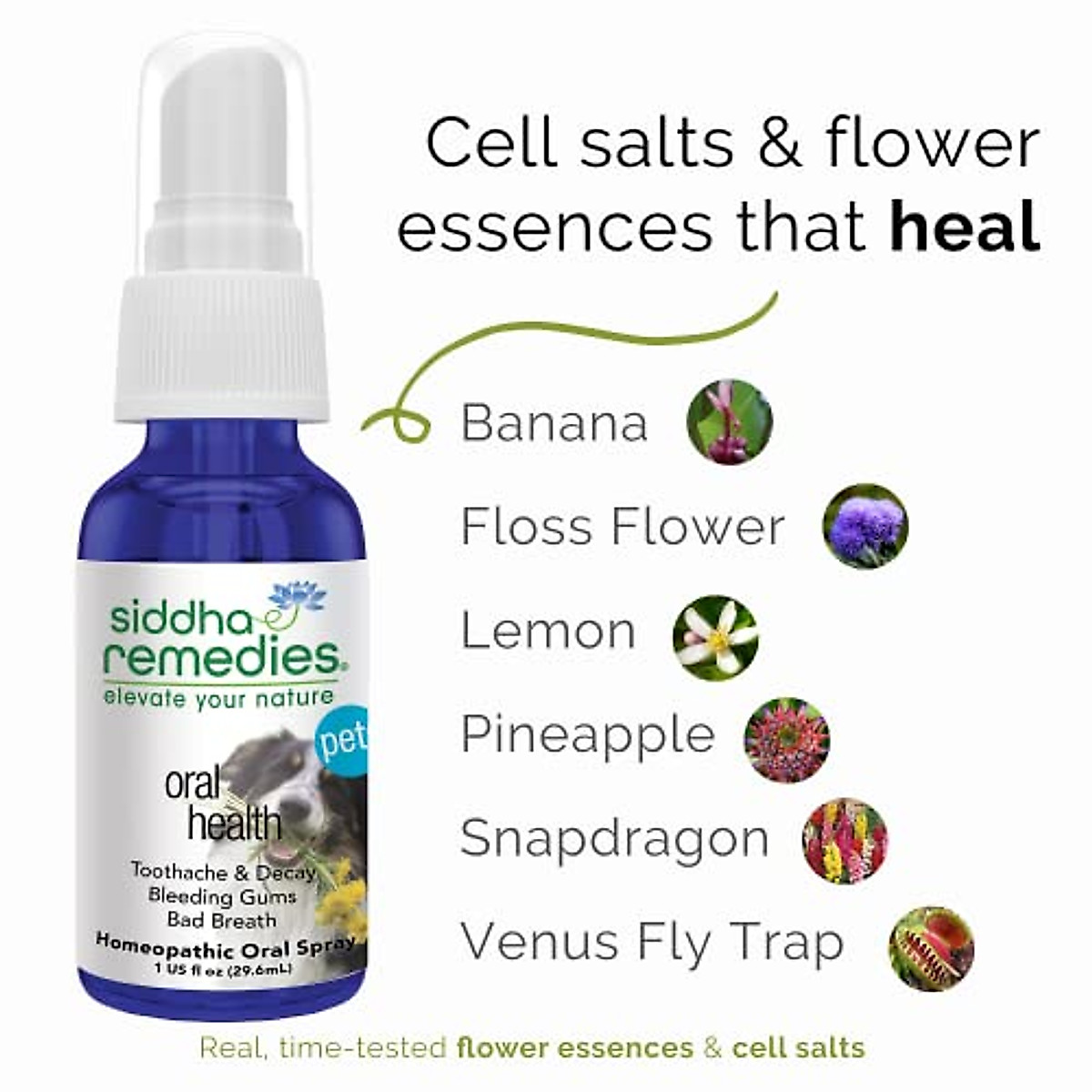 Siddha Remedies Oral Health for Pets | Cat Dog Oral Care for Toothache Decay | Breath Spray for Bad Breath, Healthy Gums Dogs Tooth Care | 100% Natural Homeopathic Remedy Cell Salts Flower Essences