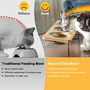 Lawfery Elevated Cat Bowls, 15° Tilted Cat Food Bowl, Includes 3 Glass Cat Bowls, Bamboo Board, and Metal Stand for Cats and Puppies