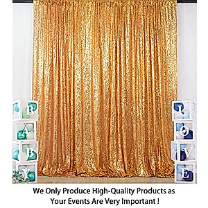 Gold Shimmer Sequin Fabric Photography Backdrop (20FTX10FT)