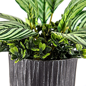 Artificial Plants & Greenery,Green Artificial Potted Plants,Artificial Greening Plants,Artificial Plant Trees,for Garden and Home Decoration,Dining Table,Room,Office,Courtyard and Other Indoor…