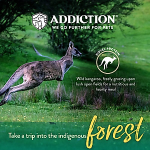 Addiction Outback Kangaroo Feast Raw Alternative Dog Food - Gently Air-Dried Complete Meal or Dog Food Topper for Digestive and Skin and Coat Health, 2 lb