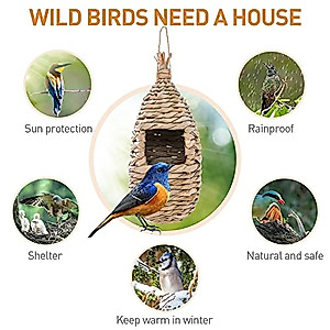 WDEFUN Humming Bird Houses for Outdoor Hanging, Natural Grass Bird Hut,Hand Woven Hummingbird Nest,Wren Finch Bird House for Garden Window Outdoor Home 3 Pack