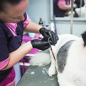 AMMEX Black Nitrile Exam Gloves, Box of 100, 3 Mil, Size Large, Latex Free, Powder Free, Textured, Disposable, Non-Sterile, Food Safe, ABNPF46100BX