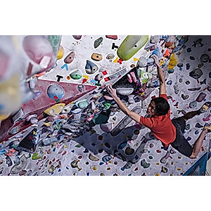 Sony FE 24-70mm F2.8 GM II Lens