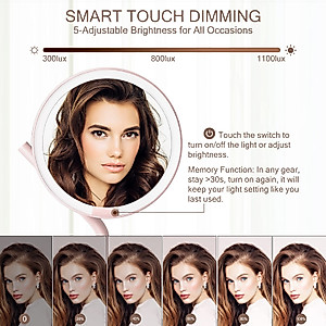 AMIRO Professional 8" LED Lighted Makeup Mirror with 5-Level Brightness, with 5X Magnifying Small Mirror, Tabletop Rechargeable Cosmetic Mirror with Touch Control 180°Rotation