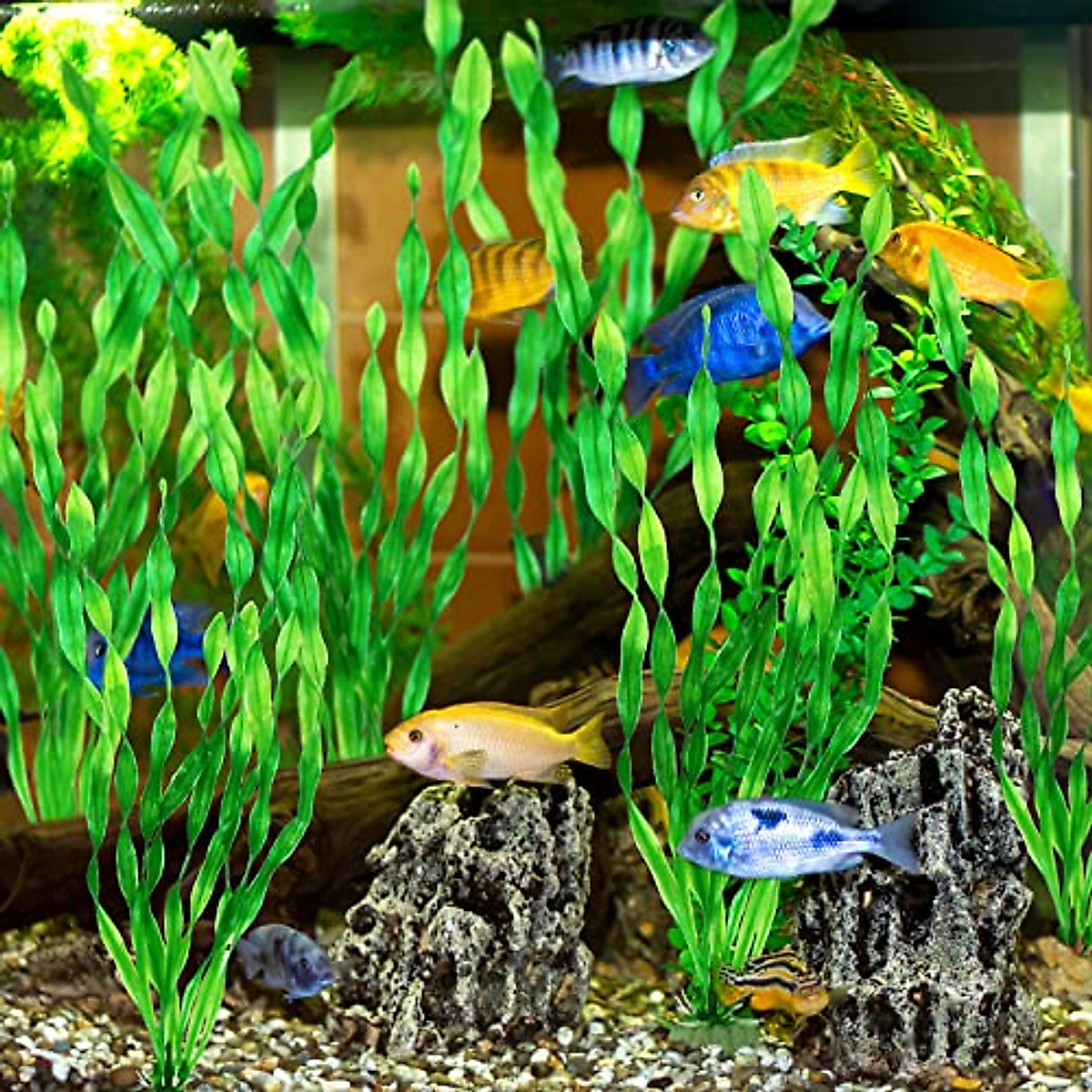 Giegxin 30 Pieces Artificial Seaweed Plants Aquarium Plants Plastic Seaweed Decor Plastic Fish Tank Plant Decorations Fake Seaweed Decoration for Household and Office Aquarium (Green)