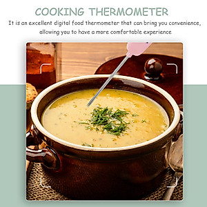 Digital Food Meat Candy: Instant Read Probe Backlit Temperature Alarm for Cooking BBQ Kitchen Oven Smoker Pink 30℃~ 300℃