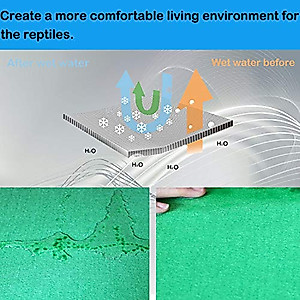 HERCOCCI Reptile Carpet, 39’’ x 20’’ Terrarium Bedding Substrate Liner Reptile Cage Mat Supplies for Bearded Dragon Lizard Tortoise Leopard Gecko Snake (Green)