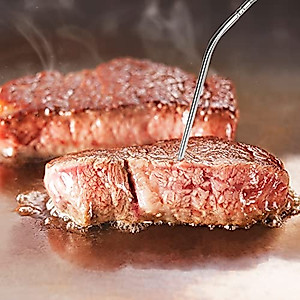 Stanbroil Meat Temperature Probe and Universal Meat Grill Thermometer Probe for Green Mountain Jim Bowie, Daniel Boone, and Davy Crockett Pellet Grills, Replacement Parts for GMG Part P-1035/GMGP40