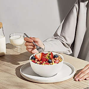 Cibeat 10 Ounce Porcelain Bowls Set 8 Pack Premium White Ceramic Bowls for Cereal, Soup, Salad, Pasta, Prep, Rice, Ice cream, Microwave & Dishwasher Safe