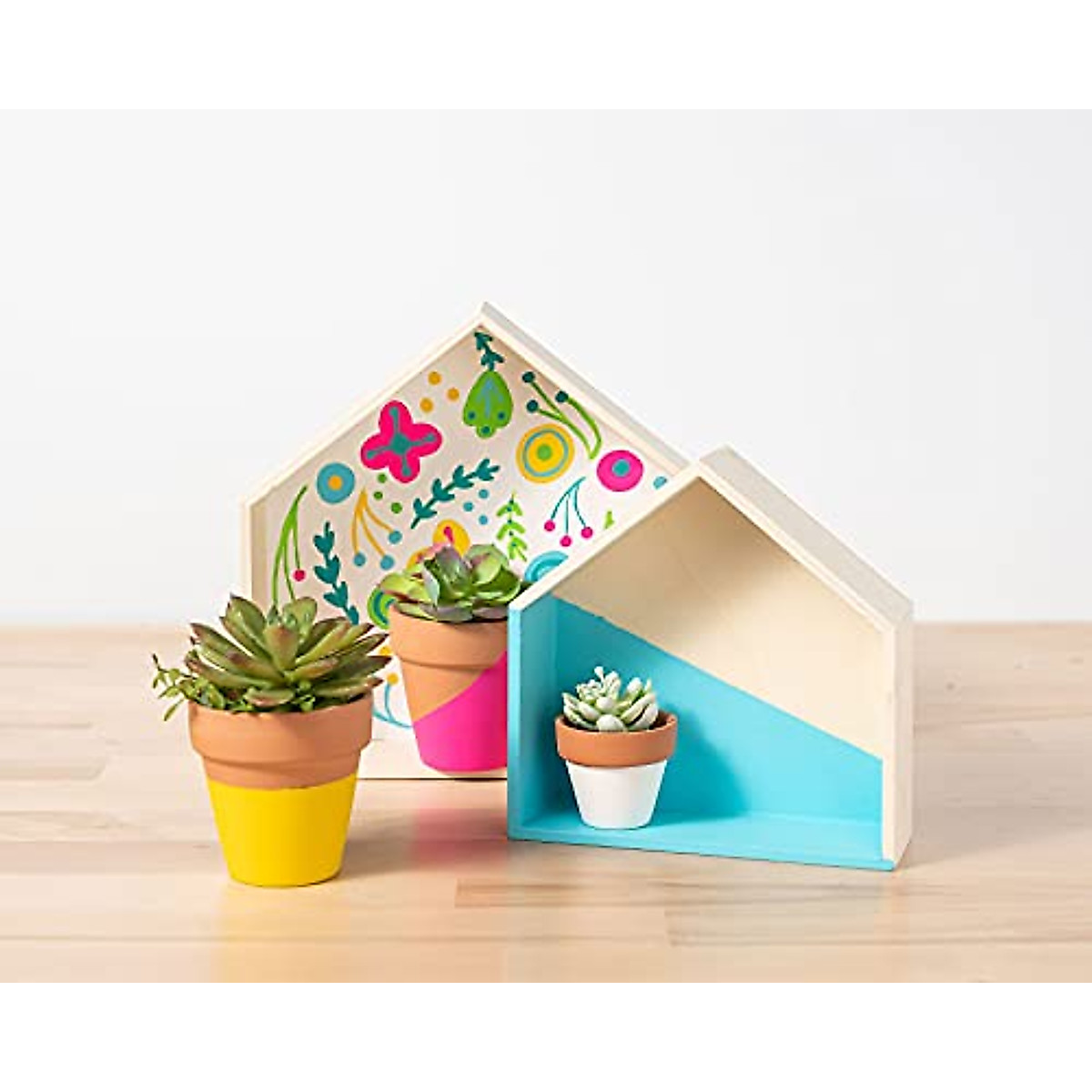 FolkArt Set, Outdoor Basics Set of 6 2 fl oz / 59 ml Brilliant Gloss Acrylic Paints for Easy to Apply DIY Crafts, Art Supplies with A Glossy Finish, 7537, (Pack of 6), Multiple Color 12