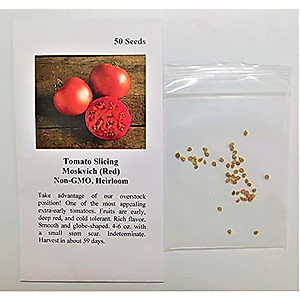 David's Garden Seeds Tomato Slicing Indeterminate Moskvich 7412 (Red) 25 Non-GMO, Heirloom Seeds