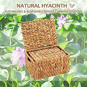 Edergoo Wicker Basket with Lid, Water Hyacinth Storage Baskets for Shelves, Large & Small Wicker Storage Basket with Lid and Built-in Handles, Hand Woven Wicker Baskets for Storage 2 Pack