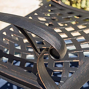 Christopher Knight Home Austin Outdoor Cast Aluminum Dining Chairs, 2-Pcs Set, Shiny Copper