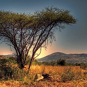 Bluebyrd Soap Co. Karma Fragrance Spray 15ml | Eau de Perfume - Clean Perfume for Women & Men, Vegan & Skin Safe Fragrance - Perfume with Notes of Citrus, Lavender, Lemongrass, Patchouli, Musk, Cashmere (Karma, 15 ml)