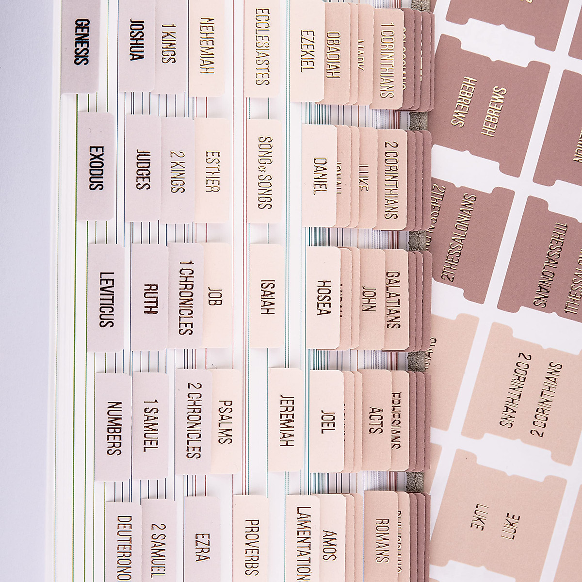 DiverseBee Laminated Bible Tabs (Rose Gold Embossed Lettering), Bible Journaling Supplies, Bible Book Tabs, Christian Gift, 66 Bible Tabs Old and New Testament, Includes 11 Blank Tabs (Pearl)