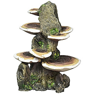 Penn-Plax Deco-Replicas Tree Trunk with Shelf Mushrooms Aquarium Decoration – Safe for Freshwater and Saltwater Fish Tanks – Medium