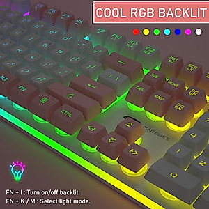 Camiysn Gaming Keyboard, Wired Keyboard with RGB Backlit, Full Size Keyboard with White&Gray Mixed Color Keycaps, Keyboard with 26 Keys Anti-ghosting for Computer/PC/Laptop/Mac/Windows/Office