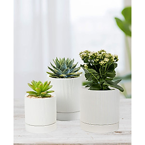 LaDoVita 3 Pack Ceramic Plant Pots 6/5/4 inch, Flowerpot for Indoor Plants with Drainage Holes and Tray, Outdoor Garden Planters, Modern Decorative for Home, White Vertical Stripes