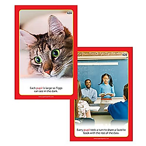 Super Duper Publications | Photo Multiple Meanings Super Fun Deck | Expand Vocabulary and Learn Definitions of English Words