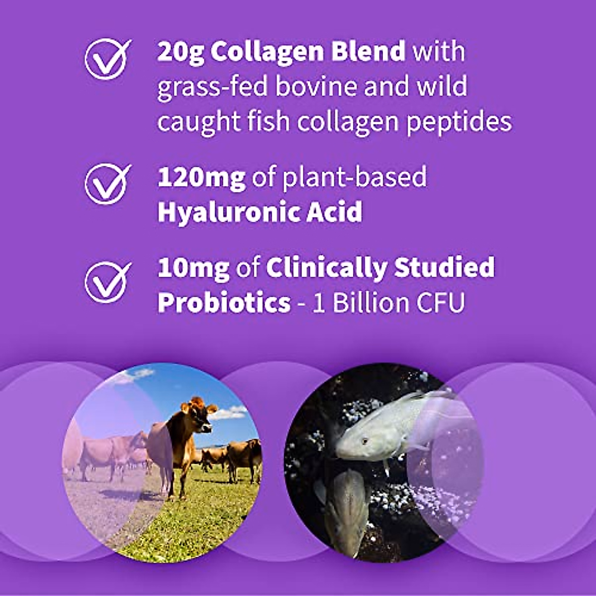 Garden of Life Marine & Grass-Fed Collagen Peptides Powder Supplement (Type I, III) with Probiotics, BCAAs & Hyaluronic Acid for Radiant Hair, Skin & Nails – Unflavored, 20g per Serving, 12 Servings