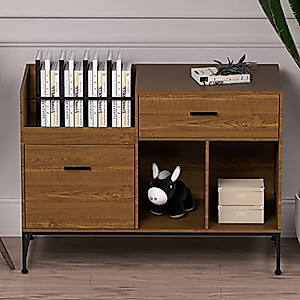Visionwards Wood Filing Cabinet 2 Drawer, Lateral File Cabinet for Letter Size, Printer Stand with Open Storage Shelves, File cabinets for Home Office, Black/Rustic Brown