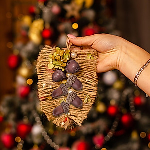 menolana 30 Pieces Acorns, Natural Dry Acorns,