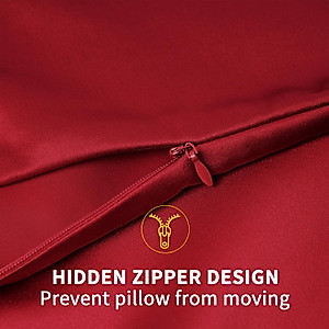 ZIMASILK 100% Pure Mulberry Silk Pillowcase for Hair and Skin Health,Soft and Smooth,Both Sides Premium Grade 6A Silk,600 Thread Count,with Hidden Zipper,1pc(Standard 20''x26'',Burgundy)