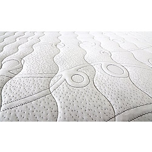Olee Sleep 10 inch Omega Hybrid Gel Infused Memory Foam and Pocket Spring Mattress (Queen)