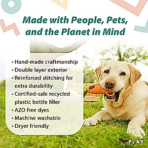P.L.A.Y. Cute Plush Dog Toys - Fruit & Vegetable Themed Durable Squeaker Chew Toy, Great for Puppies & Small, Medium, Large Dogs - Machine Washable, Recycled Materials (Garden Fresh Carrot, Medium)