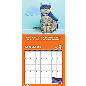 2023 Too F*cking Cute Cats Wall Calendar: A Year of D*mn Adorable Kitties (Funny Monthly Calendar & White Elephant Gag Gift for Cat Lovers)