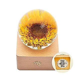 MISS LI GARDEN Night Light Dimmable Warm Light, Touch Sensitive Lamp for Home Bedrooms Dining Room Kitchen Living Room Bedside Farmhouse Country Style House Decoration(1.Sunflower)