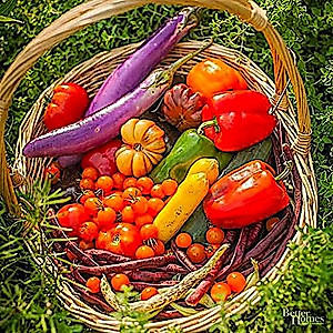 Nelson All Vegetable Garden Plant Food Granular Fertilizer Multi Purpose High Calcium Phosphorus Micronutrients In Ground Gardens Containers Greenhouses NutriStar 12-14-11 (2 LB)