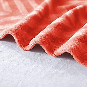 Whale Flotilla Flannel Fleece Throw Blanket for Couch Sofa Bed, Soft Velvet Lightweight Throws Plush Fluffy Chevron Design Decorative Blankets for All Season, 50x60 Inch, Coral