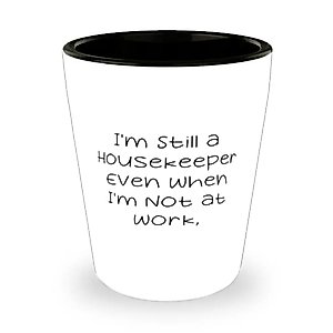 Special Housekeeper, I'm Still a Housekeeper Even When I'm Not at Work, Inappropriate Shot Glass For Friends From Team Leader