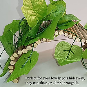 Freiomyi Bearded Dragon Hideout Reptiles Wooden Bridge Bendable Climber Ladder Hide Caves with Hanging Plants Habitat Decor Accessories for Gecko Chameleon Frog Turtle Snake 15.7″×5.9″