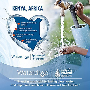 Waterdrop Replacement Filters for All Waterdrop Pitcher Filtration System, WD-PF-01A Plus 3 Packs & WD-PF-AL Alkaline Filters 3 Packs