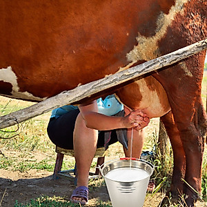 STOBAZA Stainless Steel Bucket with Lid and Handle Milk Bucket Dairy Pail Milk Can Tote Jug Ash Bucket Ranch Milking Bucket Livestock Care Supplies 22CM