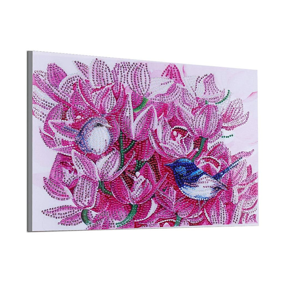 HAPPIShare Diamond Painting Kits for Adults – 5D DIY Diamond Number Kits with Full Drill – Crystal Rhinestone Diamond Embroidery Paintings Great for Home, Office, Wall Deco