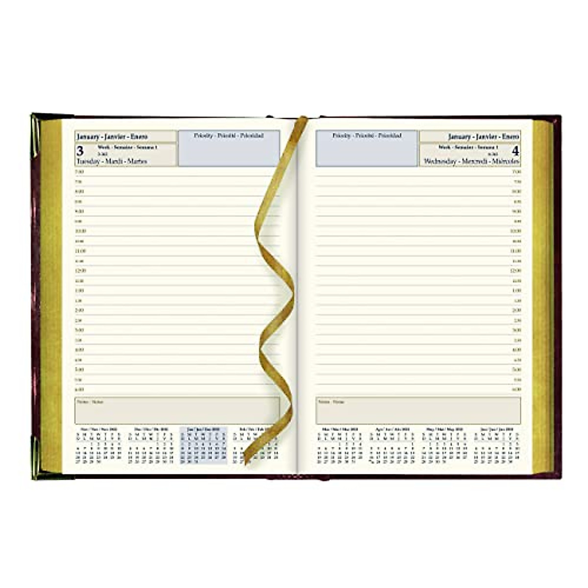 Brownline 2023 Executive Daily Planner, Appointment Book, 12 Months, January to December, Sewn Binding, 7.125" x 4.875", Assorted Colors, Trilingual (CBE504.ASX-23)