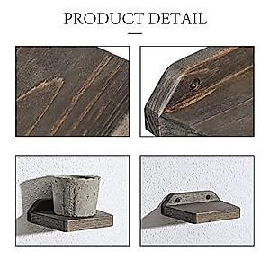 Freezing point Small Floating Shelves for Wall Set of 2 Natural Wood 5Inch Small Mini Wall Shelf Decor Plant Display Collectibles Mounted Kitchen Bathroom Bedroom Corner Decorative Storage Tiny Stand
