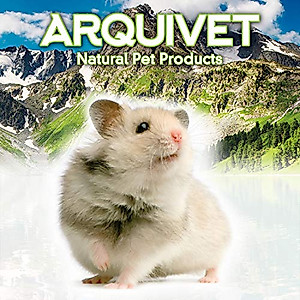 Classic Crystal Deluxe 'Large' - Small Animal Drinking Bottle 600ml