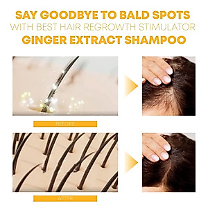 puraGinger Hair Reborn Anti Thinning Shampoo, Pura Ginger Hair Reborn Anti Thinning Shampoo, puraGinger HairReborn AntiThinning Shampoo, puraGinger Shampoo, for Hair Growth Hair Care (500ml Shampoo)