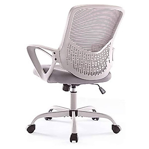 Office Chair, Ergonomic Home Desk Chair Mid Back Mesh Chair Rolling Swivel Computer Chair with Lumbar Support (Office Chair, Light Grey)