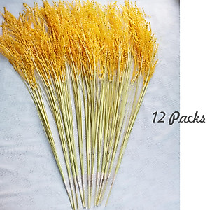 Mousidr Fake Grain Plant Artificial Paddy Rice Flowers Yellow Natural Plants for Home Office Hall Shop Window Garden Decoration (12 Packs 23.6inches)